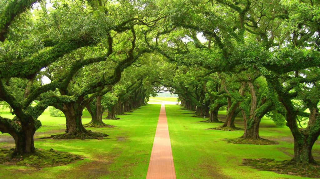 Ejemplos de productos biodegradables • Canal Clima