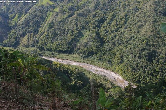 Ordenar la cuenca para convivir con el agua • Canal Clima